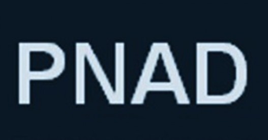 IBGE divulga rendimento domiciliar per capita segundo a PNAD Contínua...